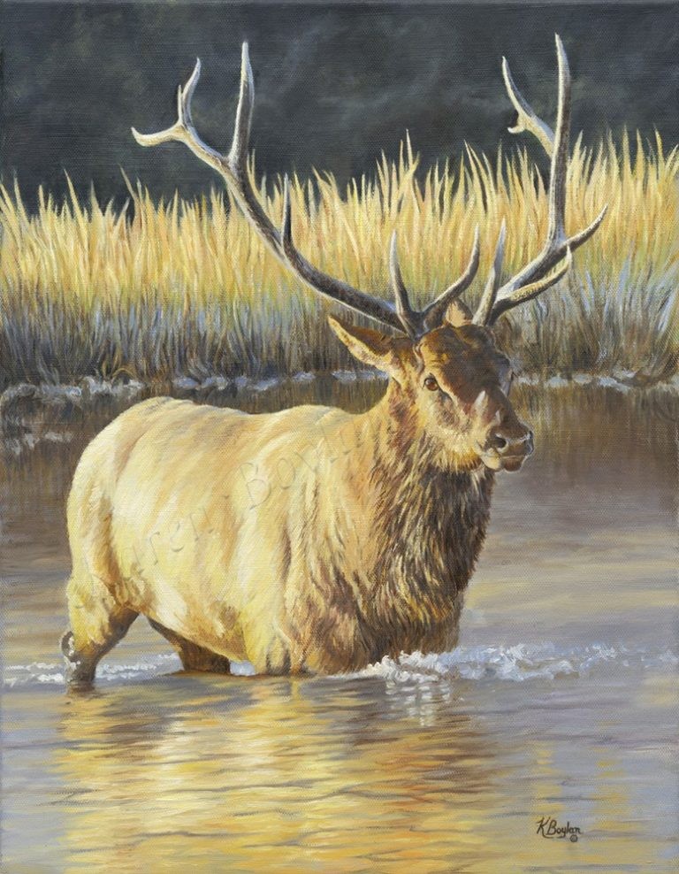 Early Morning Glow – Karen Boylan Fine Art