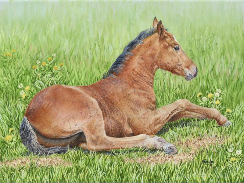Time To Go – Karen Boylan Fine Art